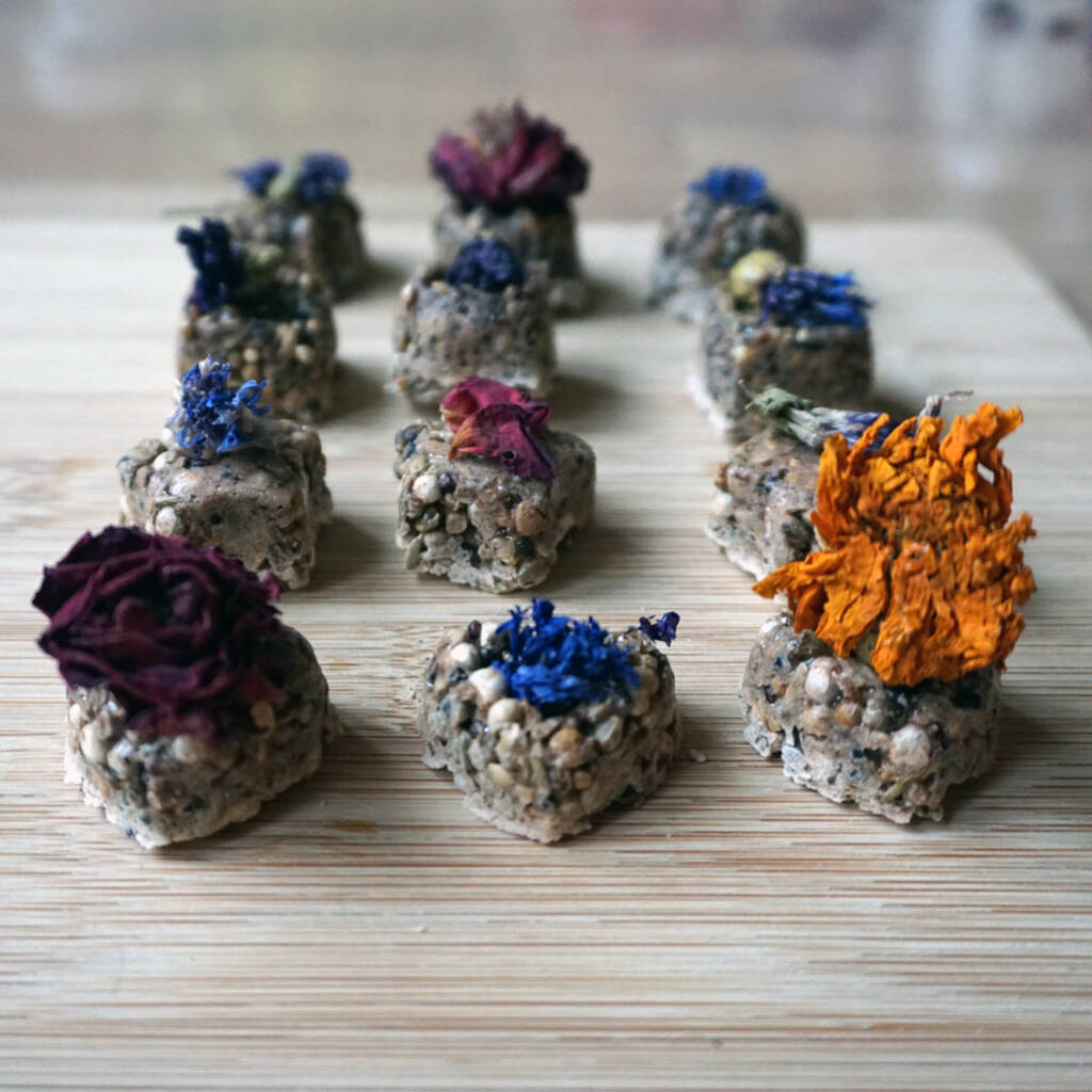 Hamsterkekse backen - Rezepte für Leckerlis und Beschäftigungsfutter